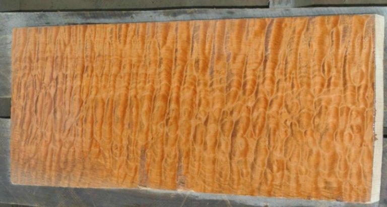 Music Wood