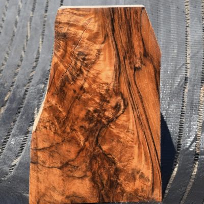 English Walnut | Salvaging and Reclaiming Urban Woods
