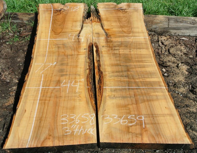 Ash Wood Slab