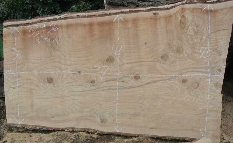 Deodar Cedar Slabs